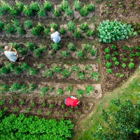 The Gendered Landscape: Umeå, Sweden – EBRD